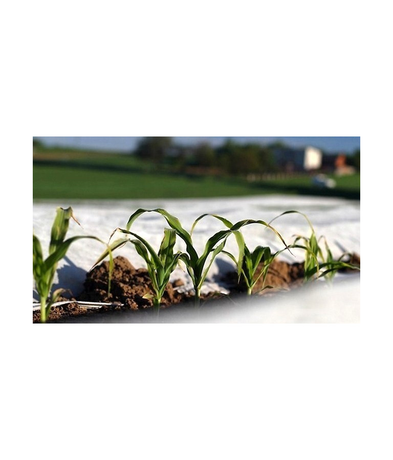 Agro-nonwoven white crop cover P-17 roll - BIOVITA